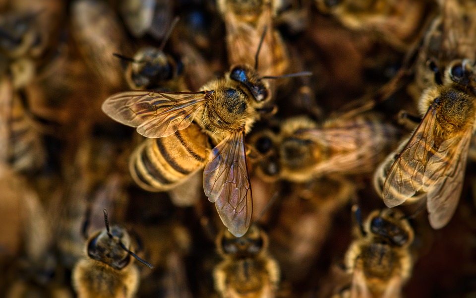 The Anatomy of Social Buzz: What Makes Topics Go Viral? - Global News ...