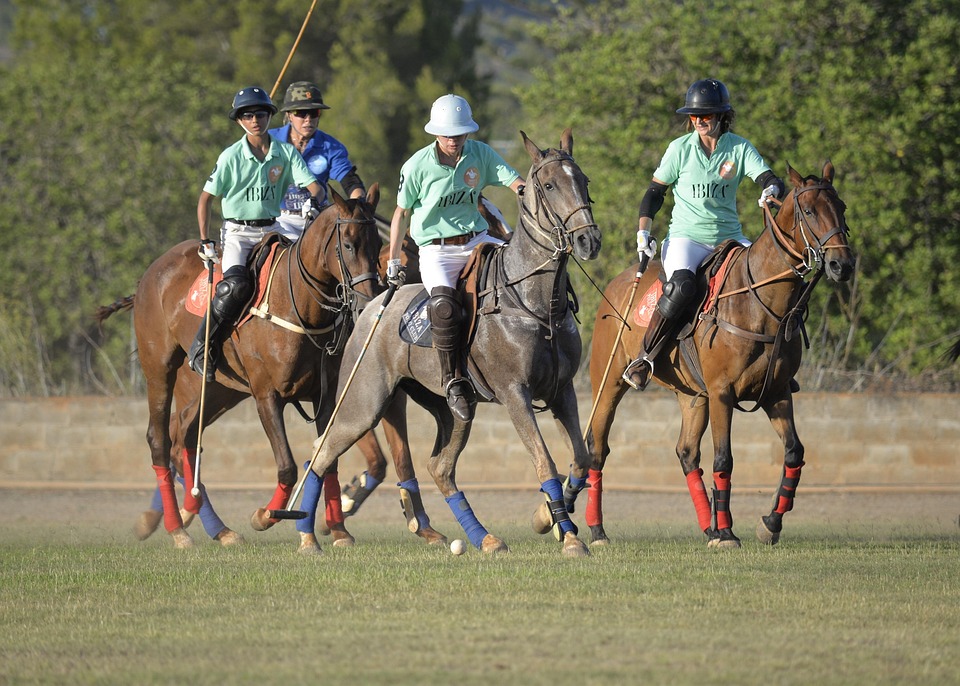 The Rise of Polo: History and Evolution of the Sport - Global News and ...
